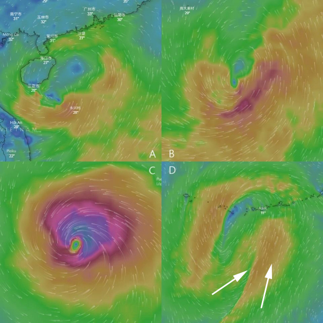 你懂得看Windy嗎？ – 香港地下天文台最新消息